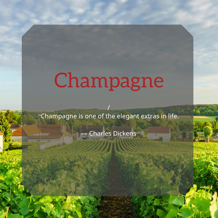 GDV Fine Wines 葡萄酒坊｜Home Page