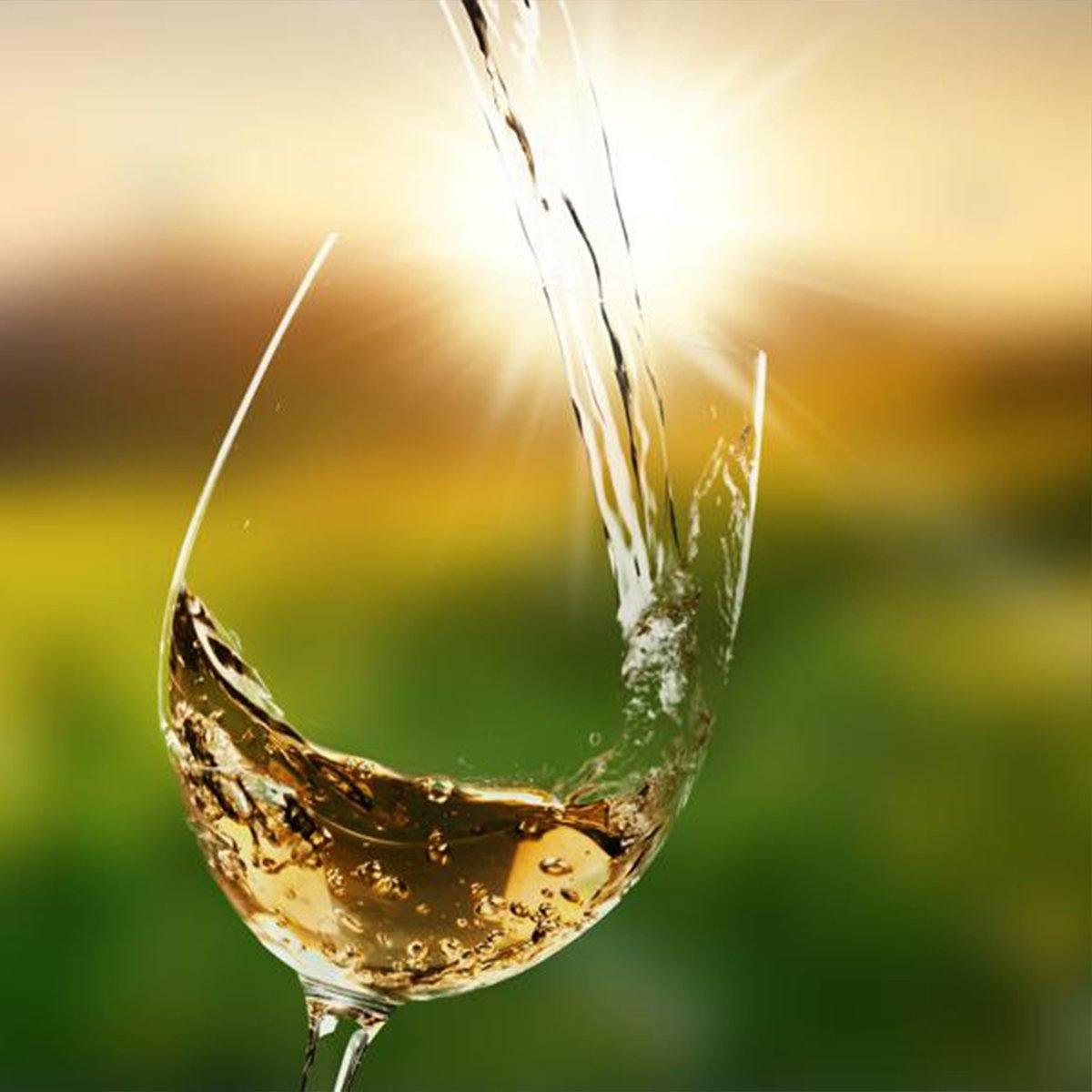 白葡萄酒 White Wine｜GDV Fine Wines 葡萄酒坊 – GDV Fine Wines®